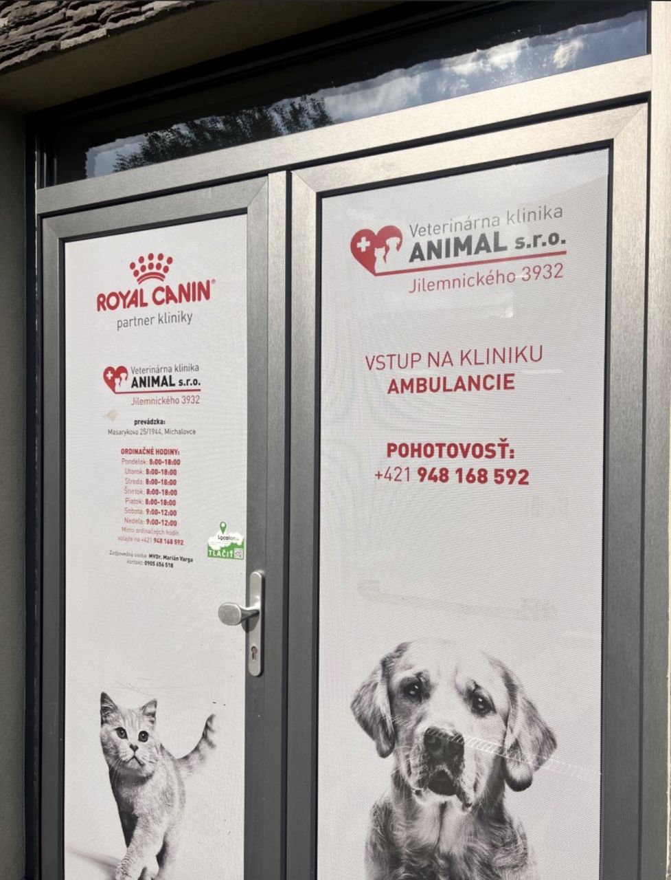 Veterinárna Pohotovosť klinika pre zvieratá Michalovce | LocalOn
